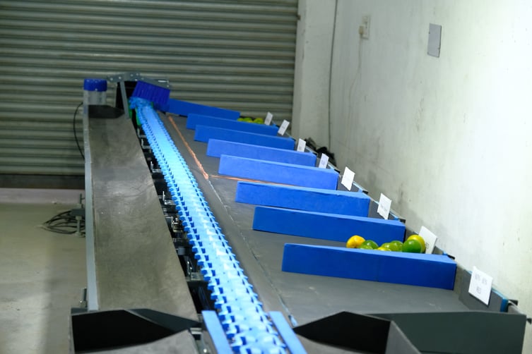 Intello FruitSort | Multi-Commodity Optical Sorting Machine