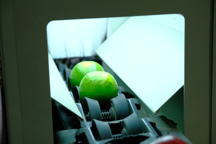 Intello FruitSort | Multi-Commodity Optical Sorting Machine